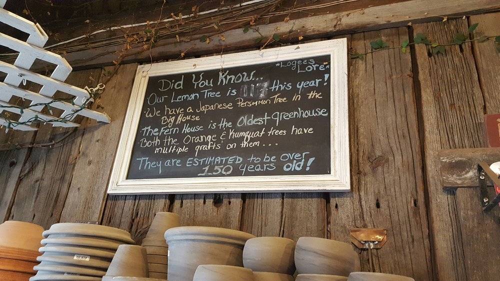 Logee’s Greenhouses - 65 Photos & 36 Reviews - Nurseries & Gardening ...