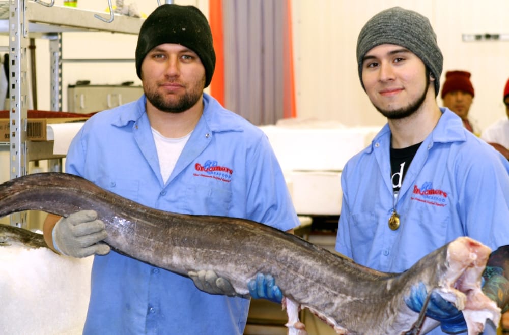 Groomers Seafood Price List groomers-seafood-price-list