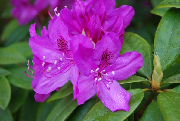 Tokeland, WA Map & Directions - MapQuest