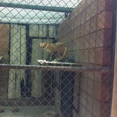 Applegate Park Zoo - 2019 All You Need to Know BEFORE You Go (with ...