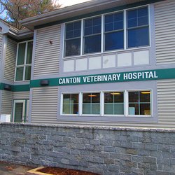 Canton Veterinary Hospital - 2019 All You Need to Know BEFORE You Go ...