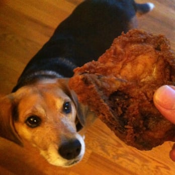 KFC - 20 Photos & 14 Reviews - Fast Food - 527 Franklin Mills Cir ...