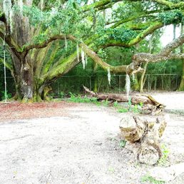Alabama Coast Campground - 19 Photos - RV Parks - 11959 Barin Field Rd ...