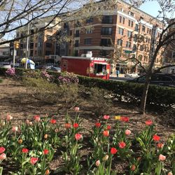 The Colonial Grill - 71 Photos & 36 Reviews - Food Trucks - 3 W Park Pl ...