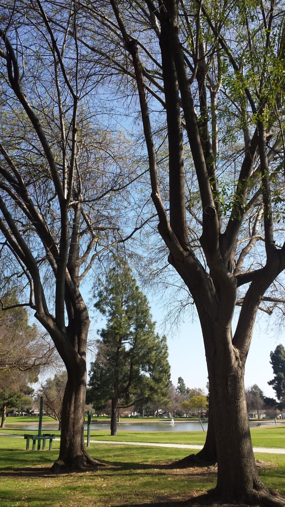 Heartwell Park - 84 Photos & 36 Reviews - Parks - 4055 North Bellflower ...