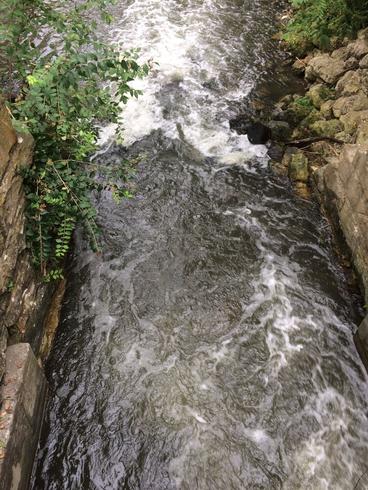 Channahon State Park - 26 Photos - Parks - 25302 W Story, Channahon, IL ...