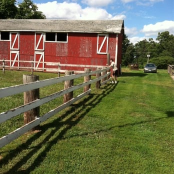 Collins Creamery - 53 Photos & 68 Reviews - Ice Cream & Frozen Yogurt ...