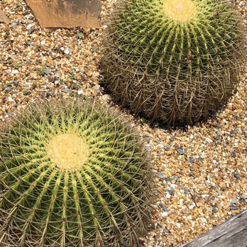 Isaac Farms - 249 Photos & 46 Reviews - Nurseries & Gardening - 18800 ...