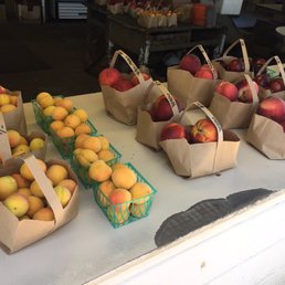 Gowan’s Oak Tree - 35 Photos & 38 Reviews - Food Stands - 6600 Hwy 128 ...