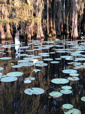 Karnack, TX Map & Directions - MapQuest