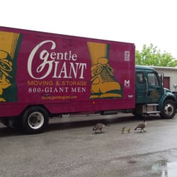 Gentle Giant Moving Company - Movers - 1450 S Warfield St, Grays Ferry ...