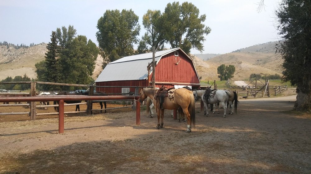 Spotted Horse Ranch - 21 Photos - Hotels - 12355 US 191, Jackson, WY ...