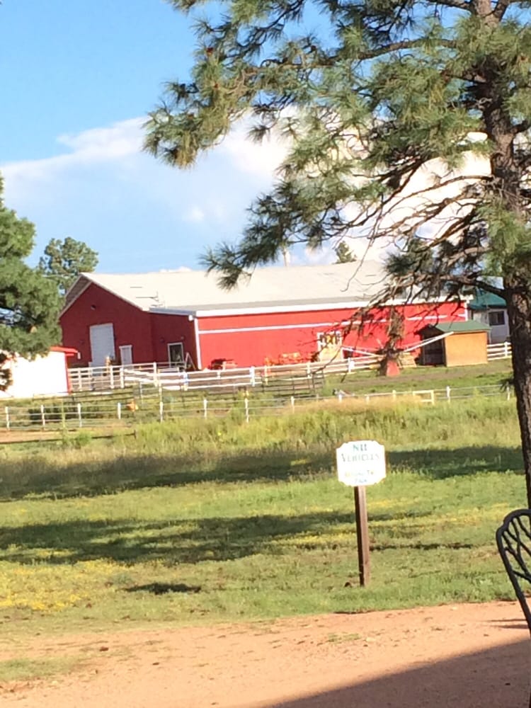 Bison Ranch Lodge - Hotels - 2269 Arizona Hwy 260, Overgaard, AZ ...