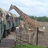 Global Wildlife Center - 186 Photos & 44 Reviews - Zoos - 26389 Hwy 40 ...