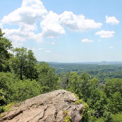 Ruffner Mountain - 51 Photos & 17 Reviews - Hiking - 1214 81st St S ...
