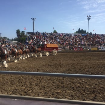 Lakeside Rodeo - 2019 All You Need to Know BEFORE You Go (with Photos ...