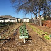 The Market at Bonton Farms - (New) 118 Photos & 25 Reviews - Farms ...