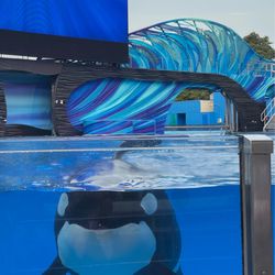SeaWorld Giftly - Beautiful Gift Card Alternative