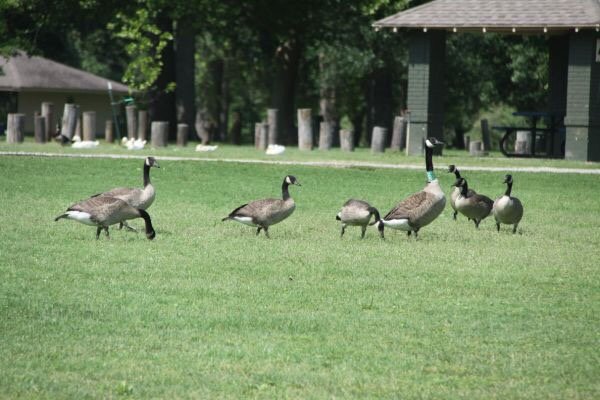 Howard, KS Map & Directions - MapQuest