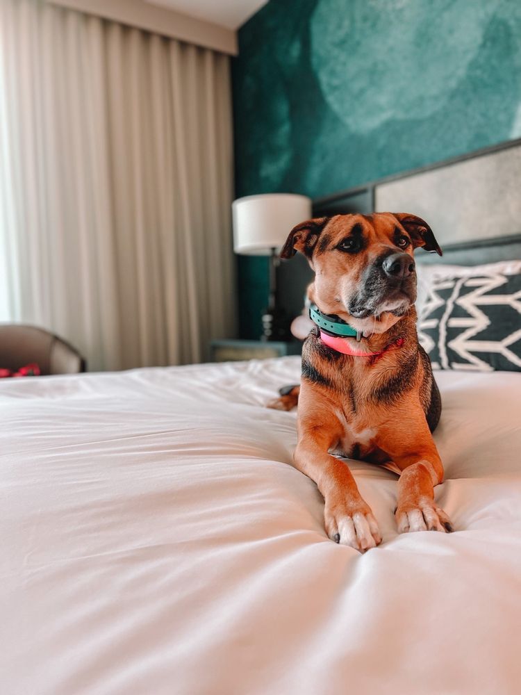 Camp Mabry Army Base in Austin, TX | MilitaryBases.com