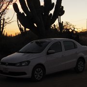 Cactus Rent a Car - 25 Photos & 103 Reviews - Car Rental - Calle Julio ...