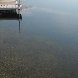 Carter Lake - Lakes - 3110 Abbott Dr, Omaha, NE - Phone Number - Yelp