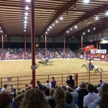 Davie Pro Rodeo - 14 Photos - Rodeo - 4201-4499 SW 65th Ave, Davie, FL ...
