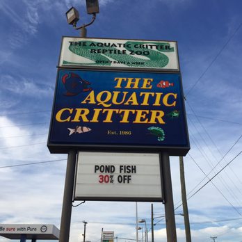 Aquatic Critter - 2019 All You Need to Know BEFORE You Go (with Photos ...