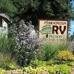 Ponderosa RV Resort - RV Parks - 1664 Ponderosa Ln, Pinetop-Lakeside ...