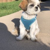 Animal Salon - 92 Photos & 111 Reviews - Pet Groomers - 12798 Rancho ...