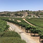 Oak Mountain Winery - 726 Photos & 475 Reviews - Wineries - 36522 Via ...
