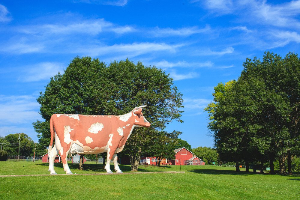 Lockwood Park - 18 Photos - Parks - 5201 Safford Rd,, Rockford, IL ...