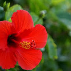 Fads & Frames - Nurseries & Gardening - 1415 Wimbledon Blvd, Alexandria ...