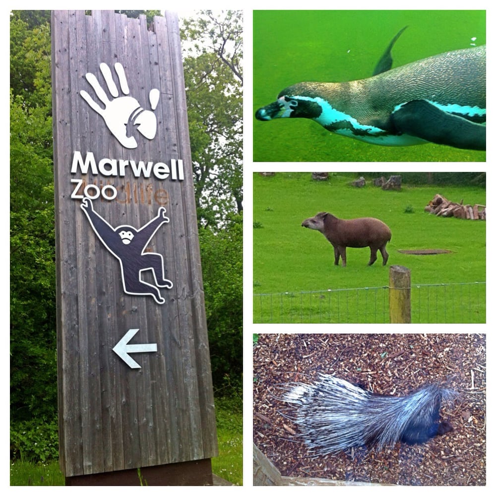 Marwell Zoo - 16 Photos & 19 Reviews - Zoos - Thompson's Lane ...