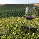 Callaway Vineyard & Winery - 637 Photos & 421 Reviews - Wineries ...