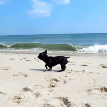 Lavallette Beach And Boardwalk - 36 Photos - Beaches - Lavallette, NJ ...