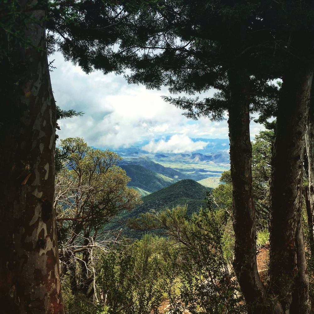 Fred Lawrence Whipple Observatory - 13 Photos - Observatories - 670 ...