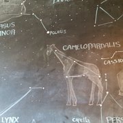 Bucer’s Coffee House Pub - 11 Photos & 53 Reviews - Coffee & Tea - 201 ...