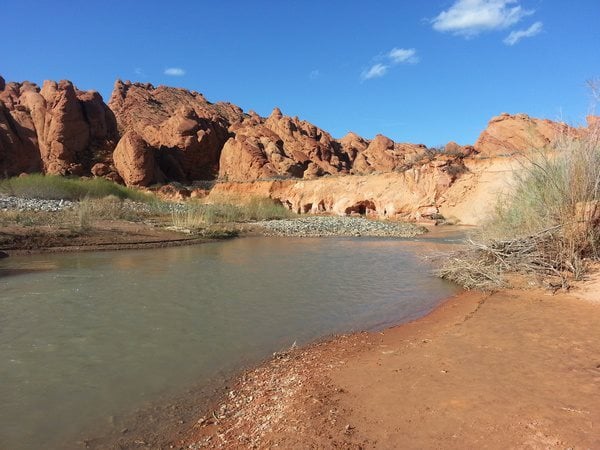 Red Cliffs Desert Reserve - Hiking - St. George, UT - Yelp
