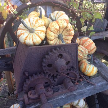 Tabora Farm and Orchard - 72 Photos & 79 Reviews - Bakeries - 1104 ...