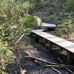 Ravenna Park - 45 Photos & 39 Reviews - Parks - 5520 Ravenna Ave NE ...