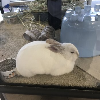 Petco - 73 Photos & 94 Reviews - Pet Stores - 6500 Pacific Coast Hwy ...