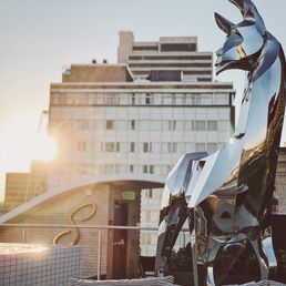 WaterProof - 46 Photos & 29 Reviews - Lounges - 1914 Commerce St ...