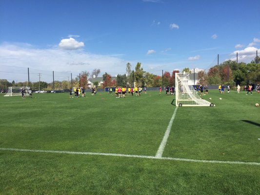University of Michigan Soccer Field - Soccer - 2250 S State St, Ann ...