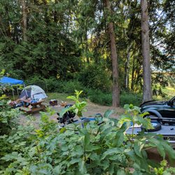 Riffe Lake Campground - 11 Photos - Campgrounds - 241 Osborne Rd ...