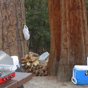 Fern Basin Campground - 32 Photos & 12 Reviews - Hiking - Idyllwild, CA ...