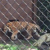 Connecticut’s Beardsley Zoo - 142 Photos & 83 Reviews - Zoos - 1875 ...