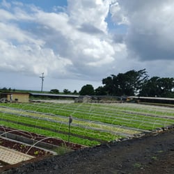 Kunia Country Farms - 10 Photos & 10 Reviews - Nurseries & Gardening ...