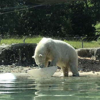 Point Defiance Zoo & Aquarium - 981 Photos & 355 Reviews - Zoos - 5400 ...