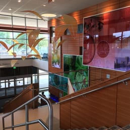 Strong Memorial Hospital - 16 Photos & 49 Reviews - Hospitals - 601 ...